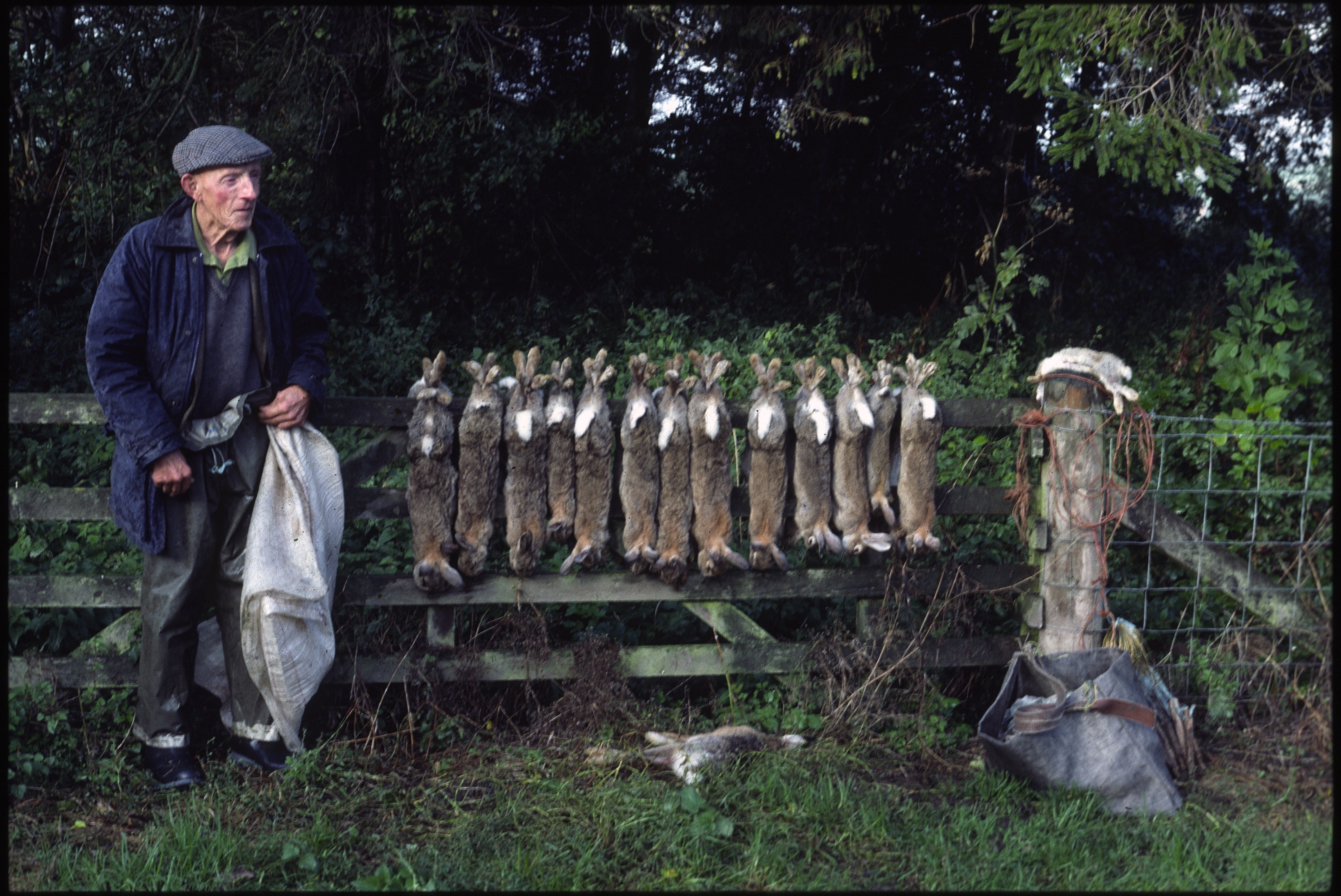 Tam the Rabbit Catcher – Vanishing Yarns